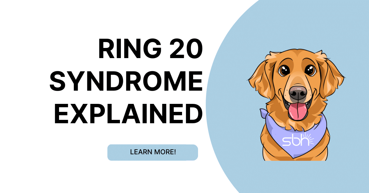 Things to Know About Ring 20 Chromosome Syndrome - SBH Foundation